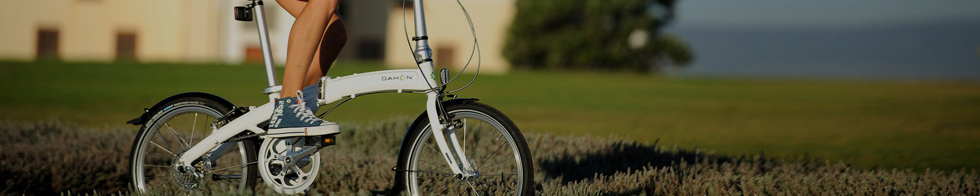 Fenders – DAHON BIKE